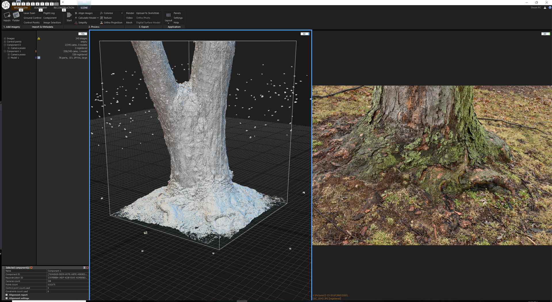 Christopher Fantauzzo - Tree Photogrammetry Study - Unity