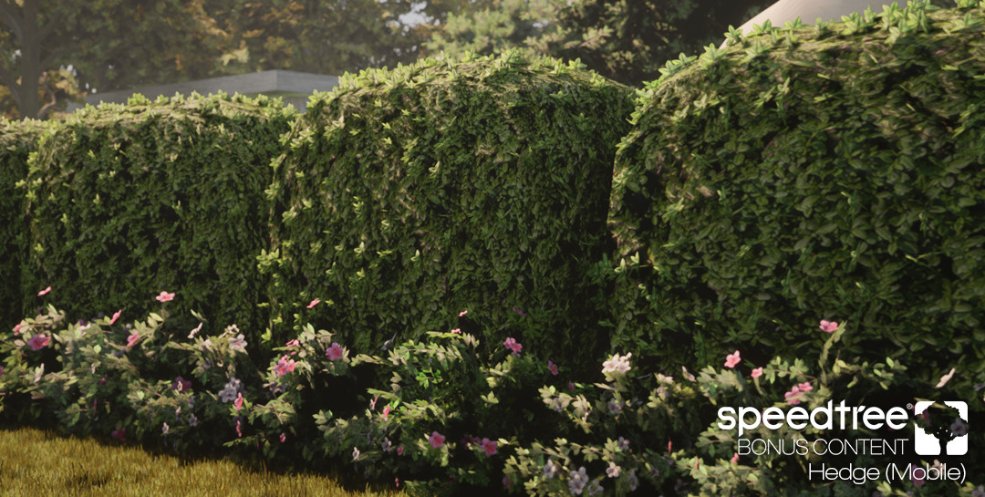 Katly Hong - May SpeedTree Bonus Content (Garden Environment)