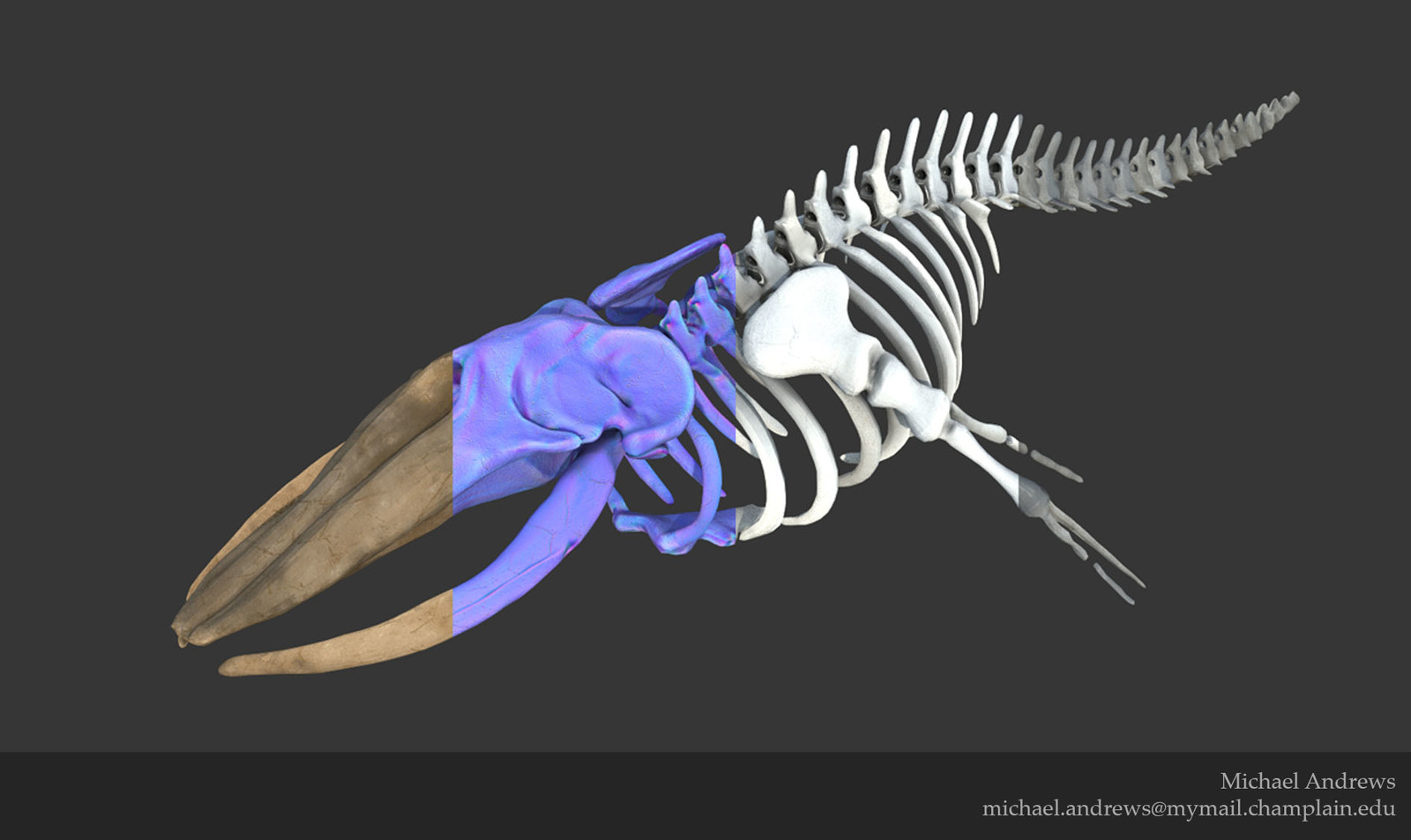 Michael Andrews - Explorer's Library