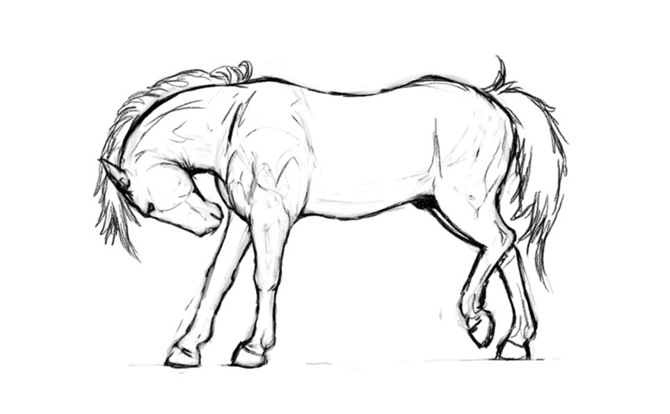 how to digitally draw a horse