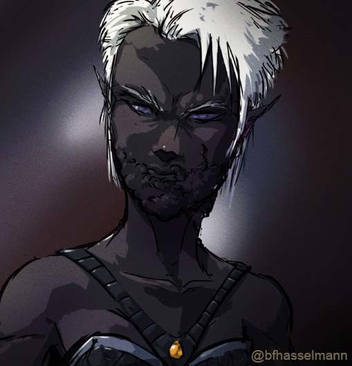 Bernardo Hasselmann - Drow Portraits Exploration