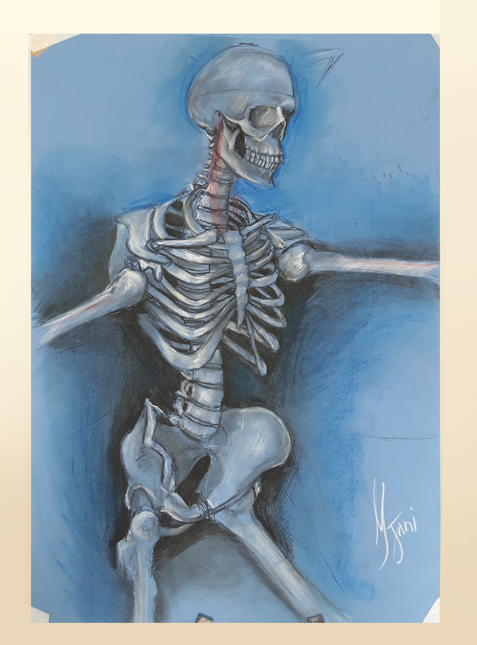 drawing inanimate objects