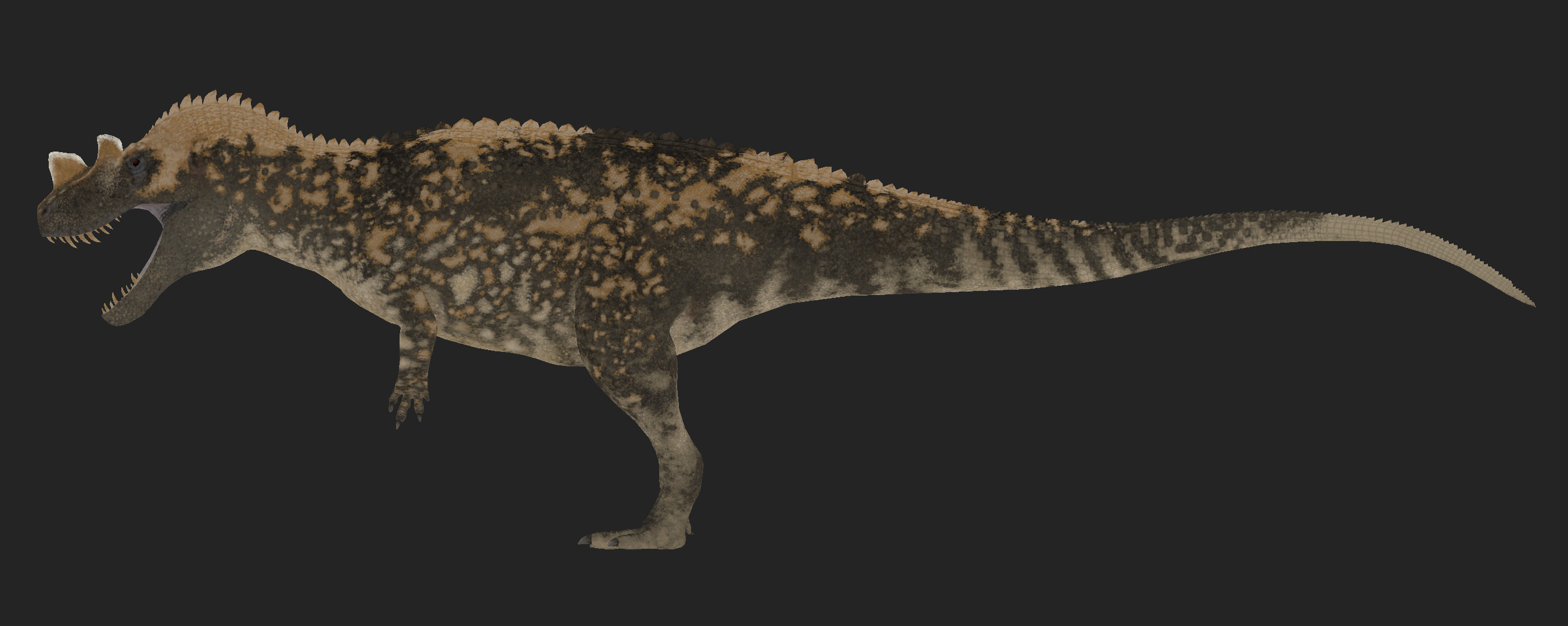 Kevin Stumme - Wild Dog Ceratosaurus Skin