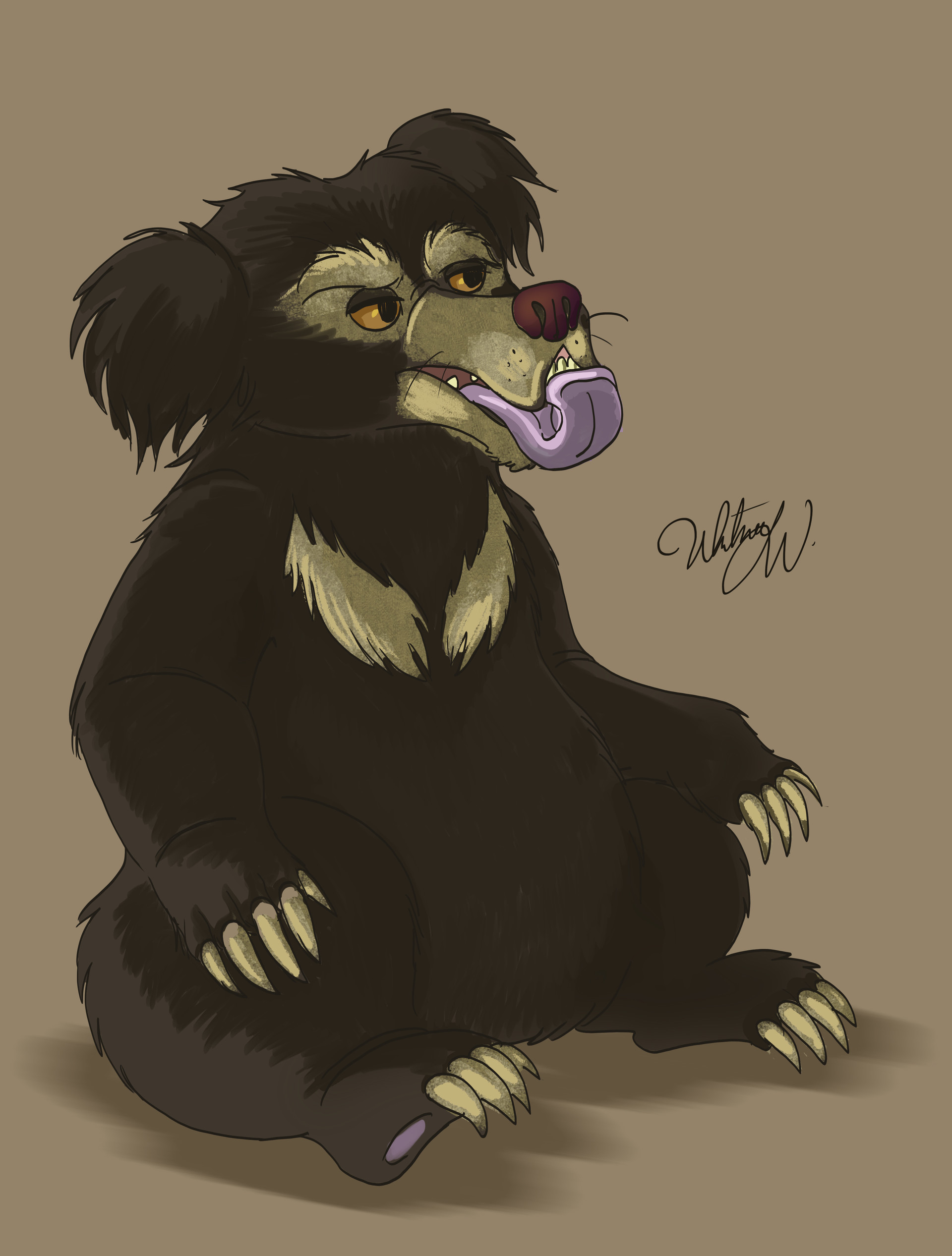cute sloth bear drawing