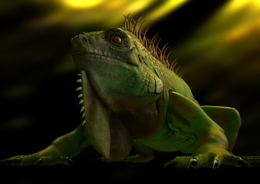 ArtStation - Iguana
