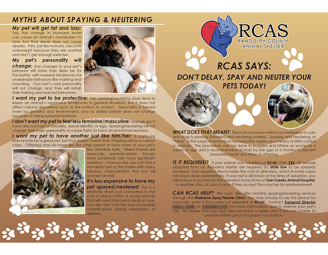 Shea Morris - Animal Shelter Document Designs