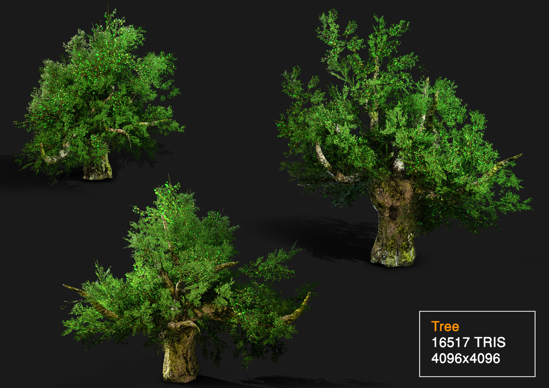 ArtStation - Oak Tree