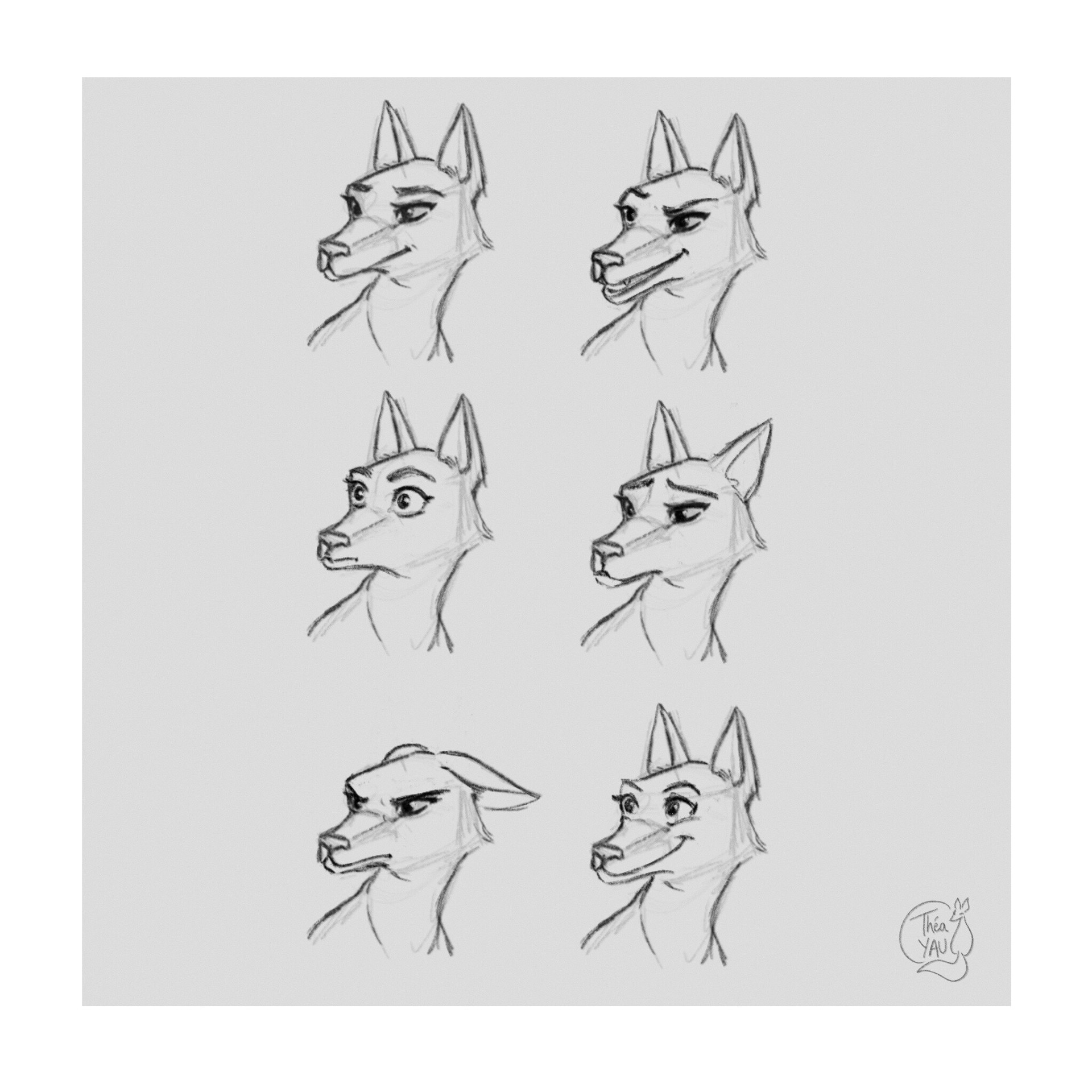 how to draw dog expressions