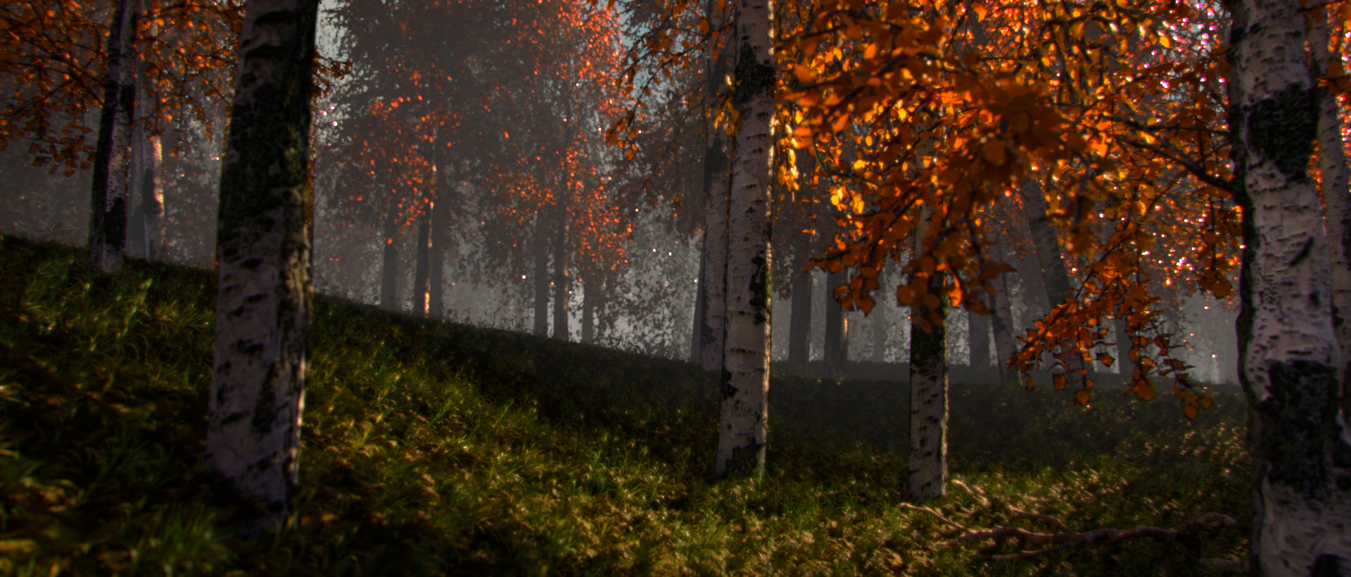 ArtStation - Forest Render