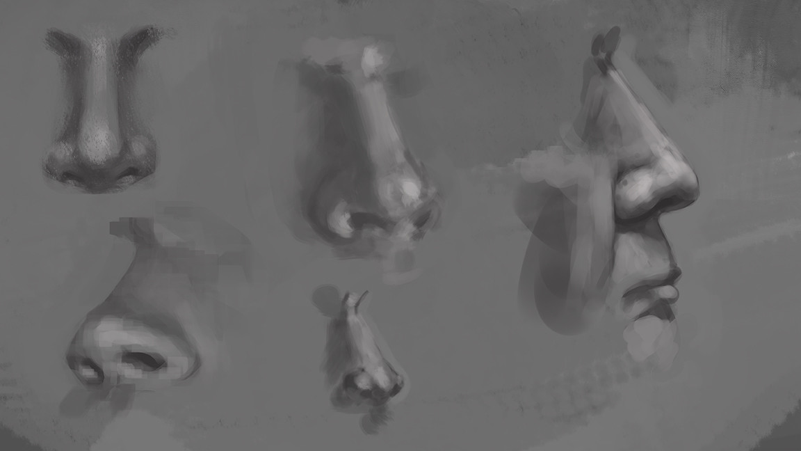 ArtStation - more noses