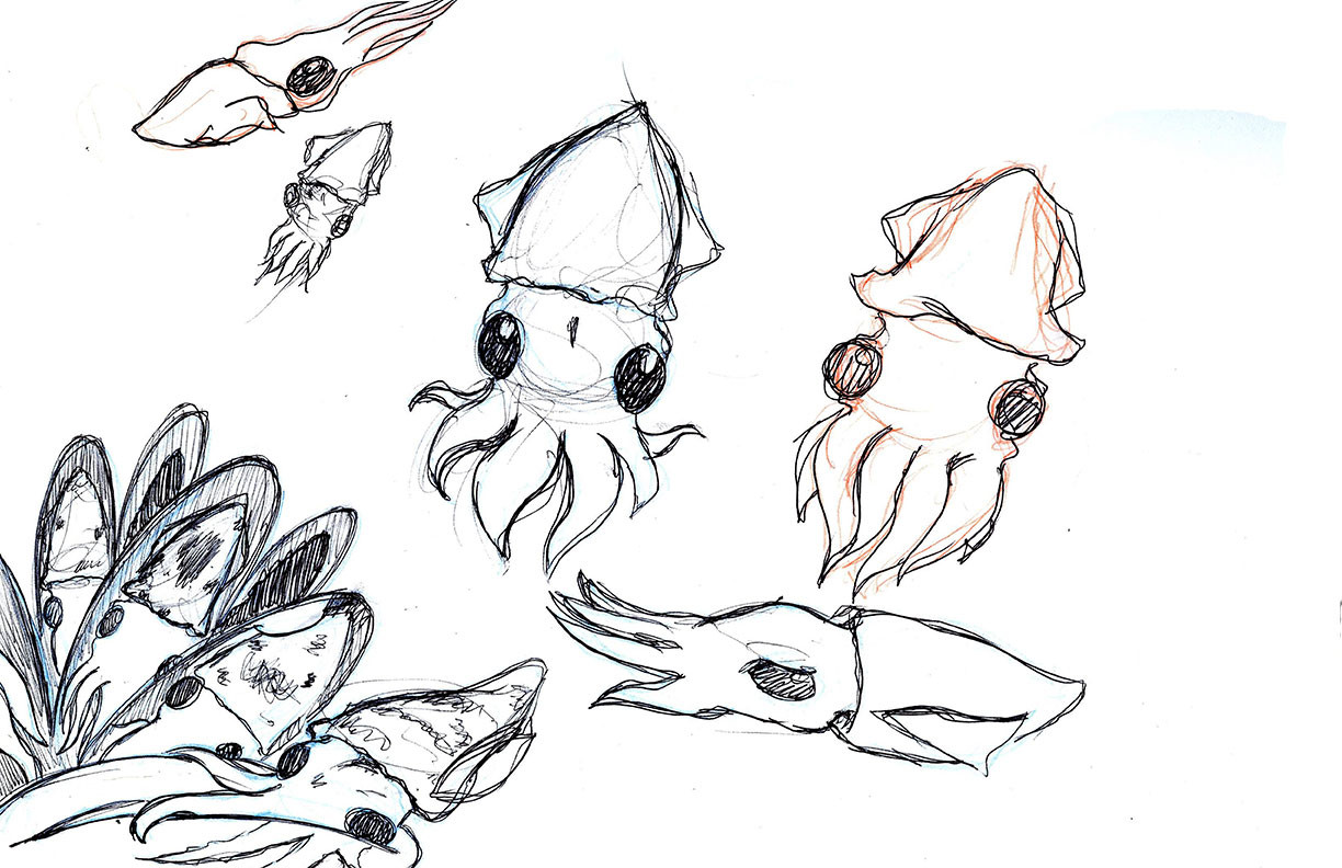 Baby Squid Drawing