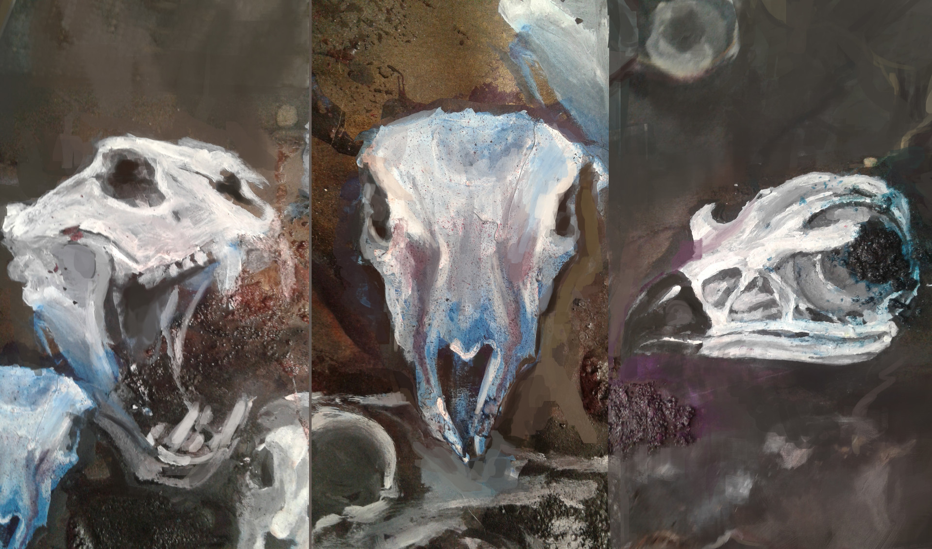 ArtStation - evolution