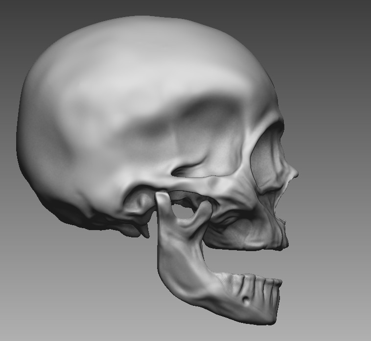 Simone Graf - Stylitzed Skull