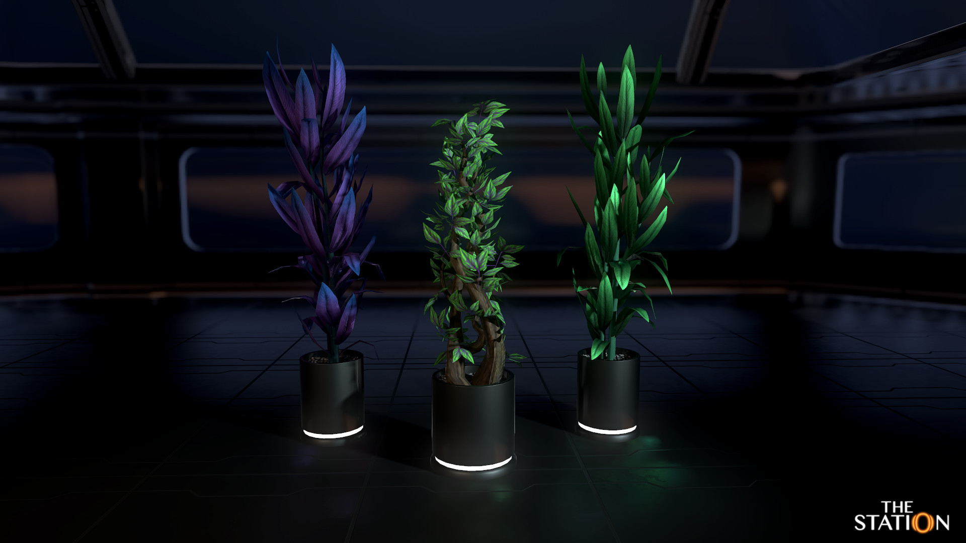 Riley Hanlin - Sci-Fi Plants