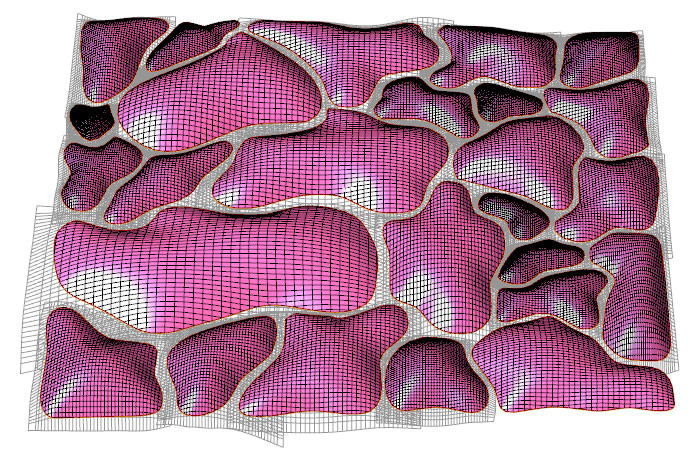 Nik Willmore - Rhino/Grasshopper/Python