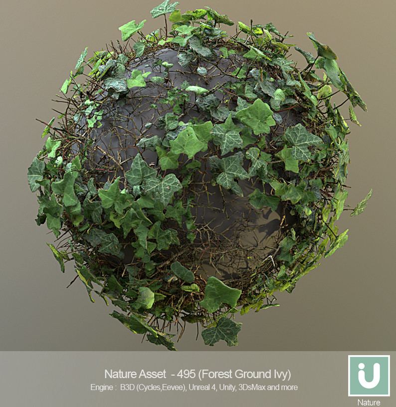 JLE Studios / i-U Asset Studios - iU Nature Asset 495 - Forest Ground Ivy