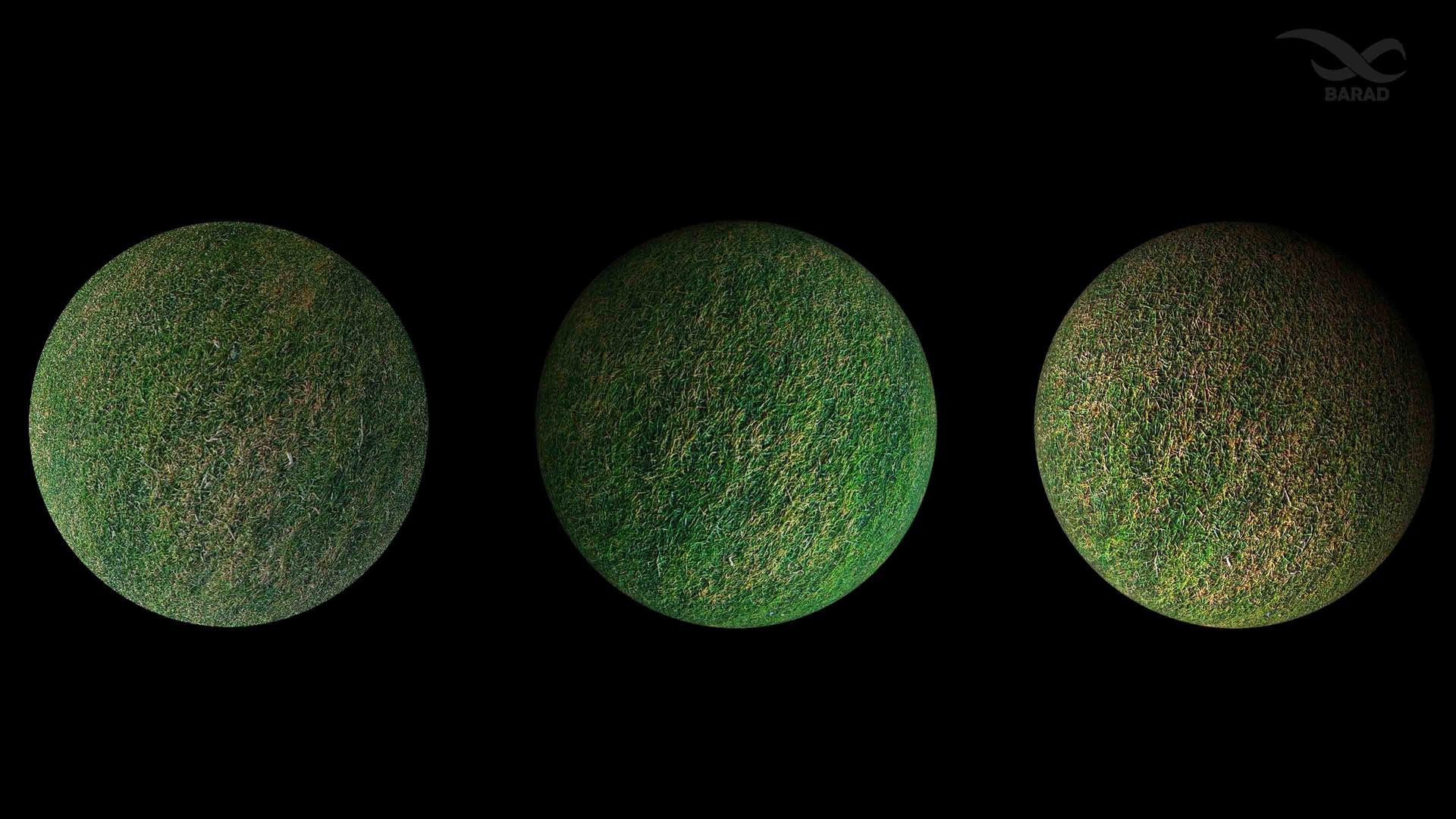 ArtStation - Grass Texture