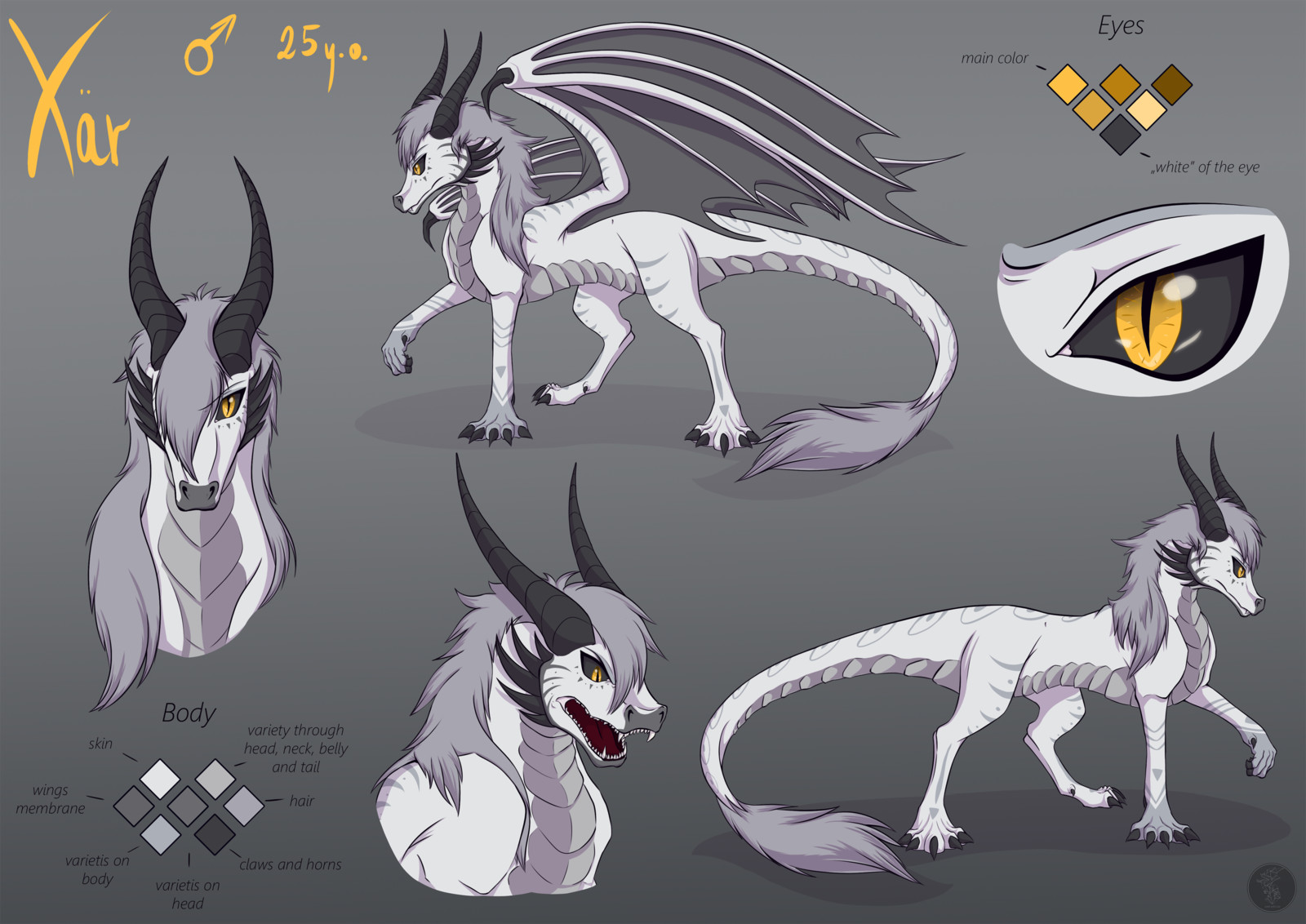 Ann Varcon - Xar - Character design - Reference Sheet