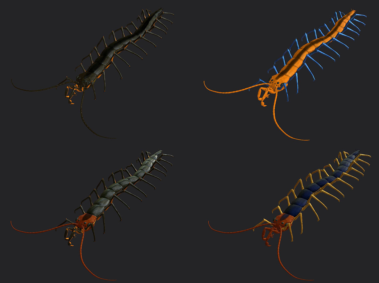 Simon Keane - Mantis Centipede