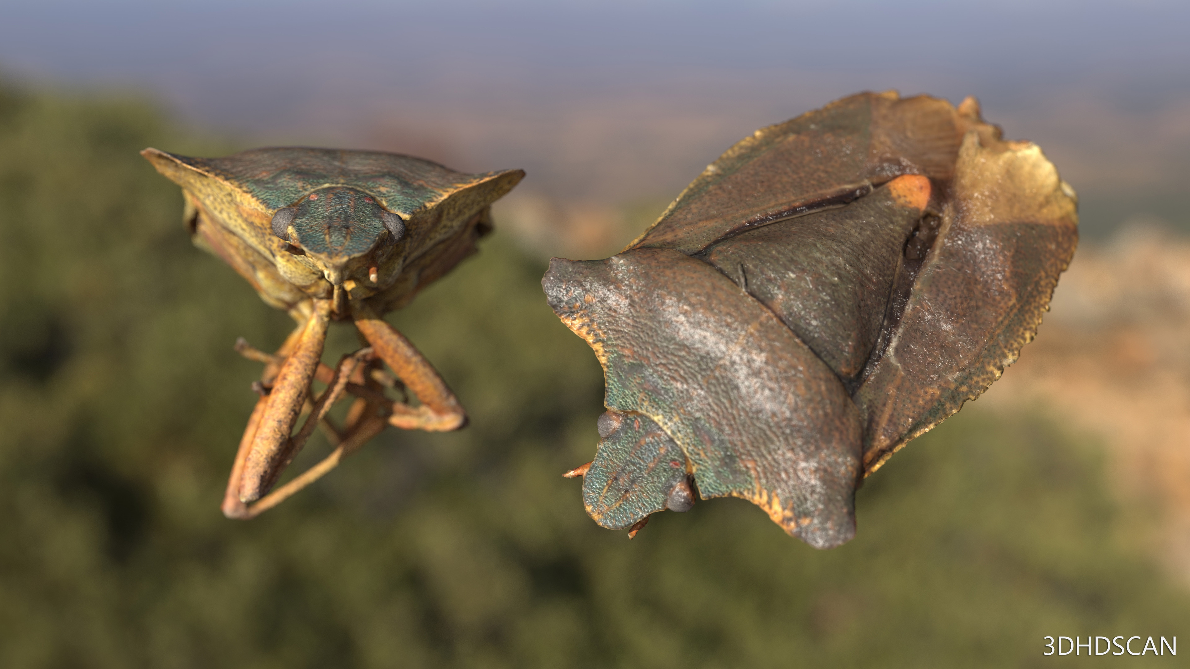 3dhdscan daniel sklář - Macro photogrammetry test - insect