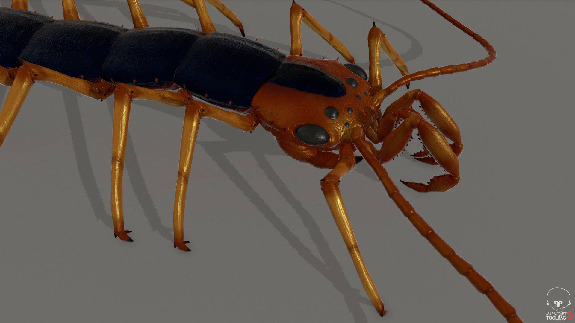 Simon Keane - Mantis Centipede