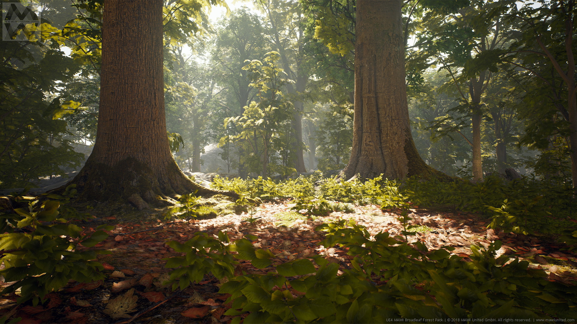 MAWI United - UE4 Broadleaf Forest V3