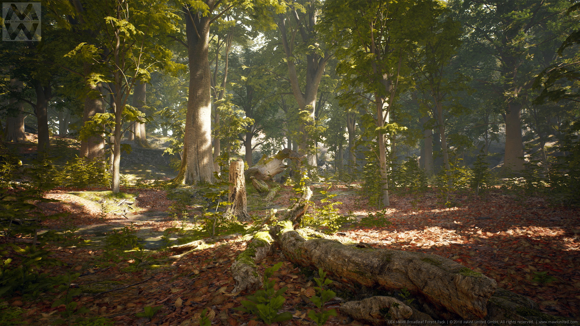 MAWI United - UE4 Broadleaf Forest V3