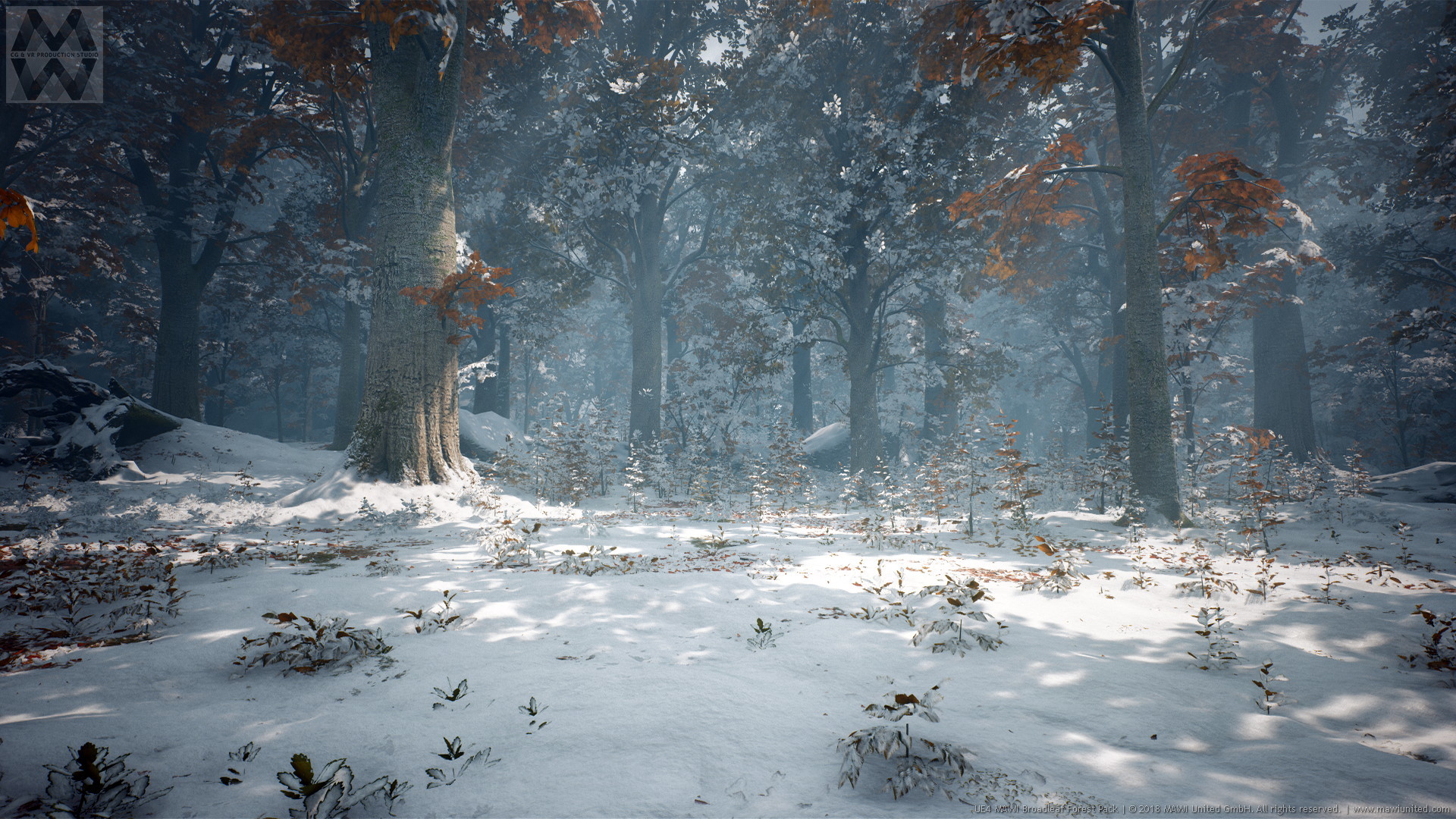 MAWI United - UE4 Broadleaf Forest V3