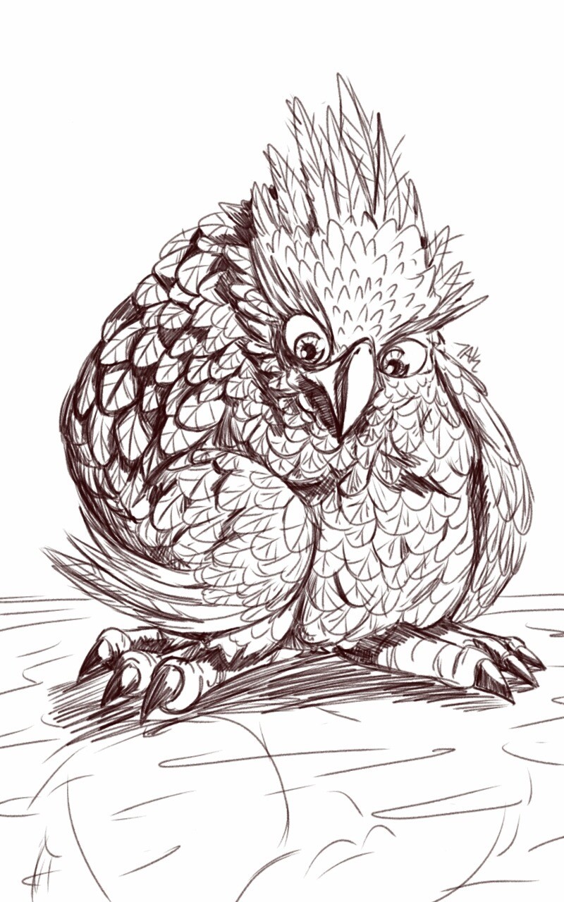 ArtStation - Daily Sketch: Bad Feather Day