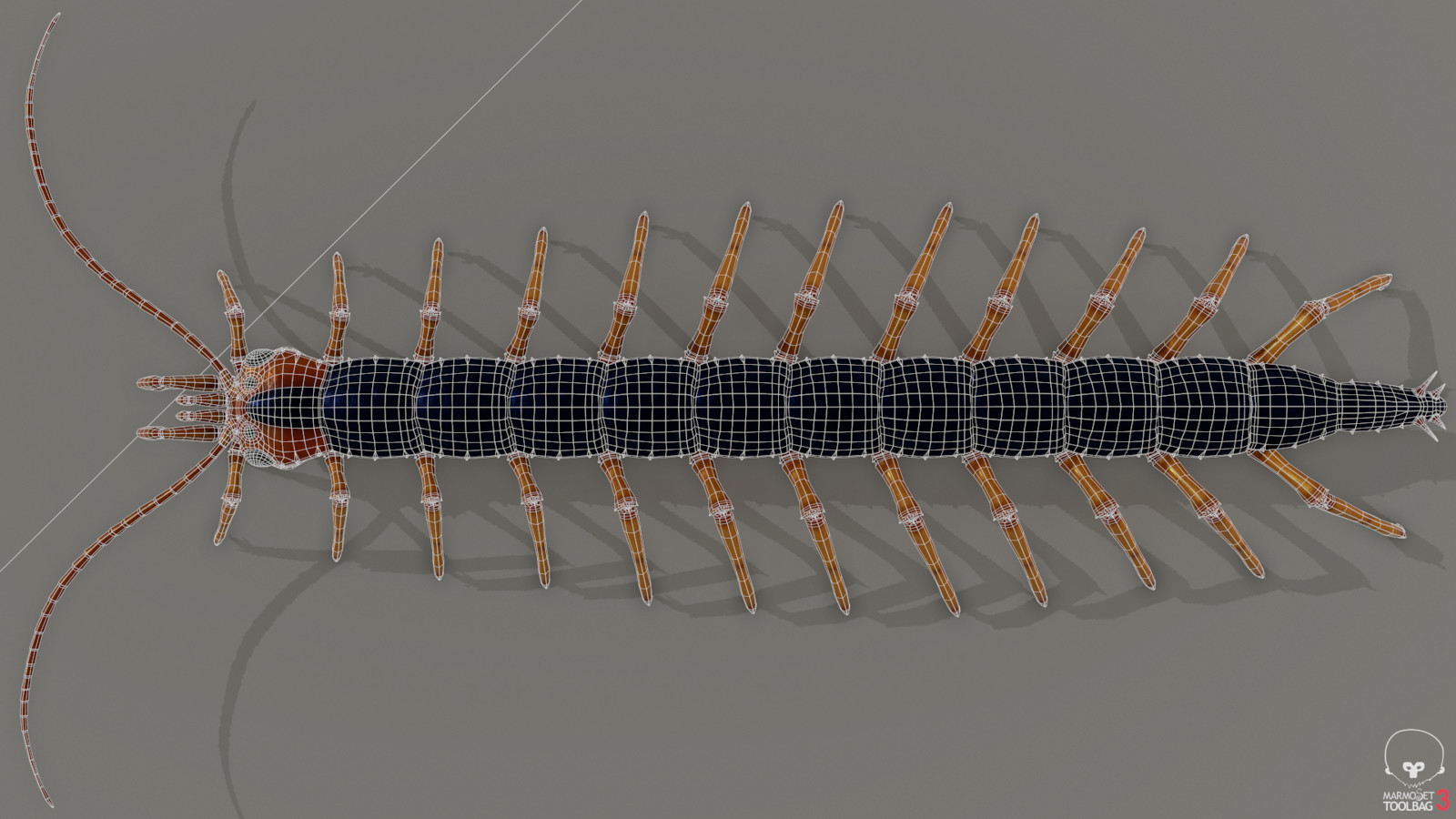 Simon Keane - Mantis Centipede