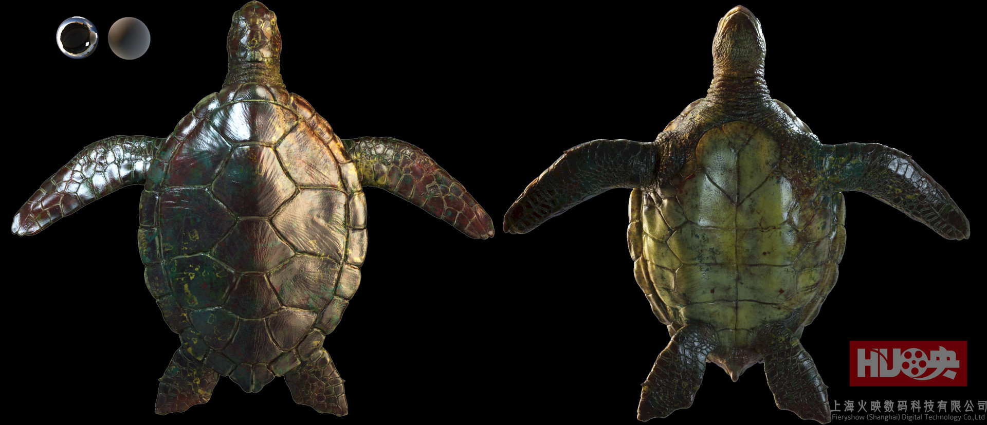 ArtStation - Sea turtle Model