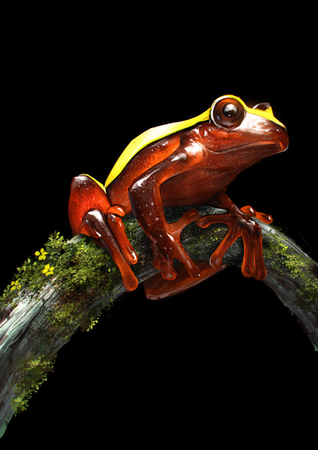 ArtStation - Macro World