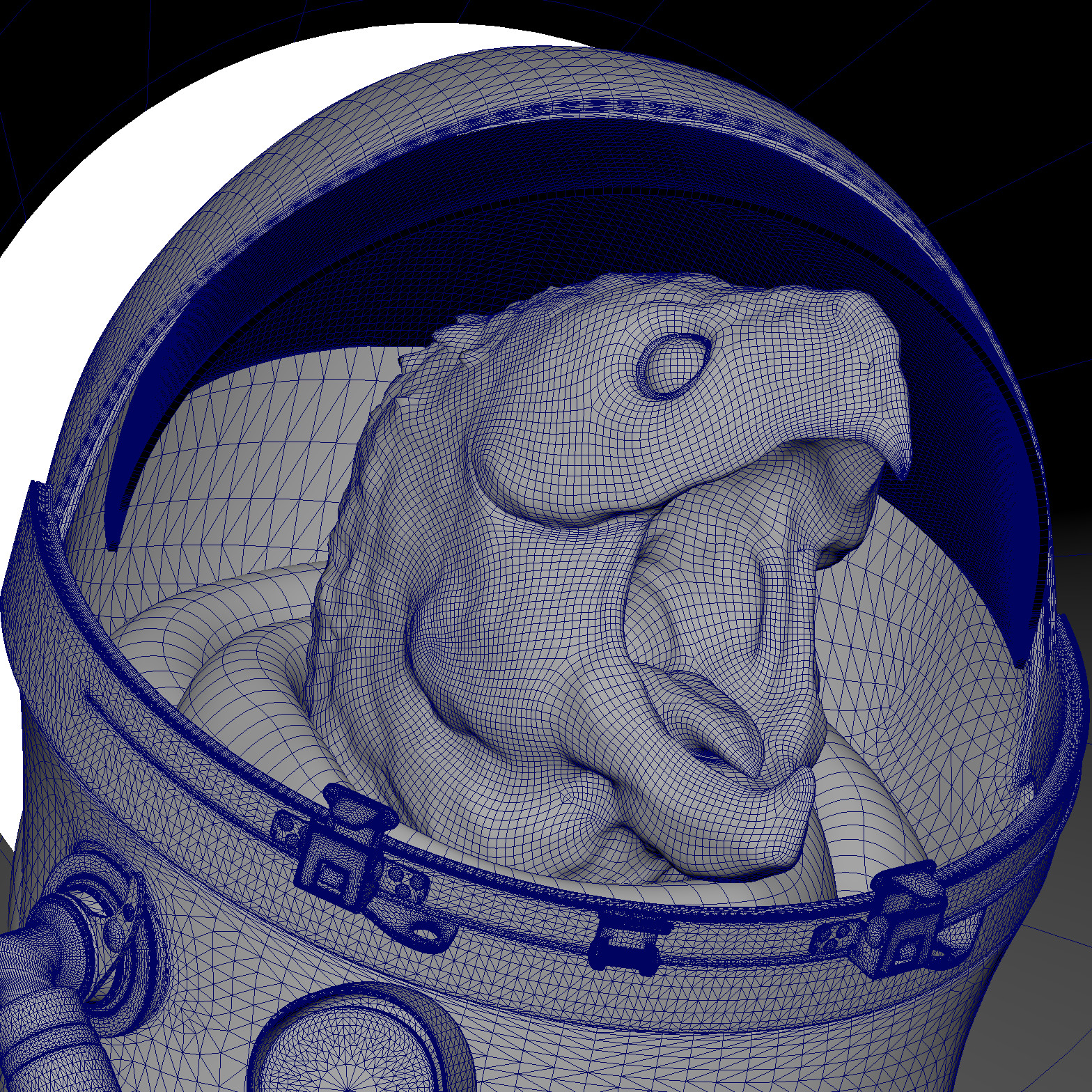 Turtle Astronaut 1280 By 1280