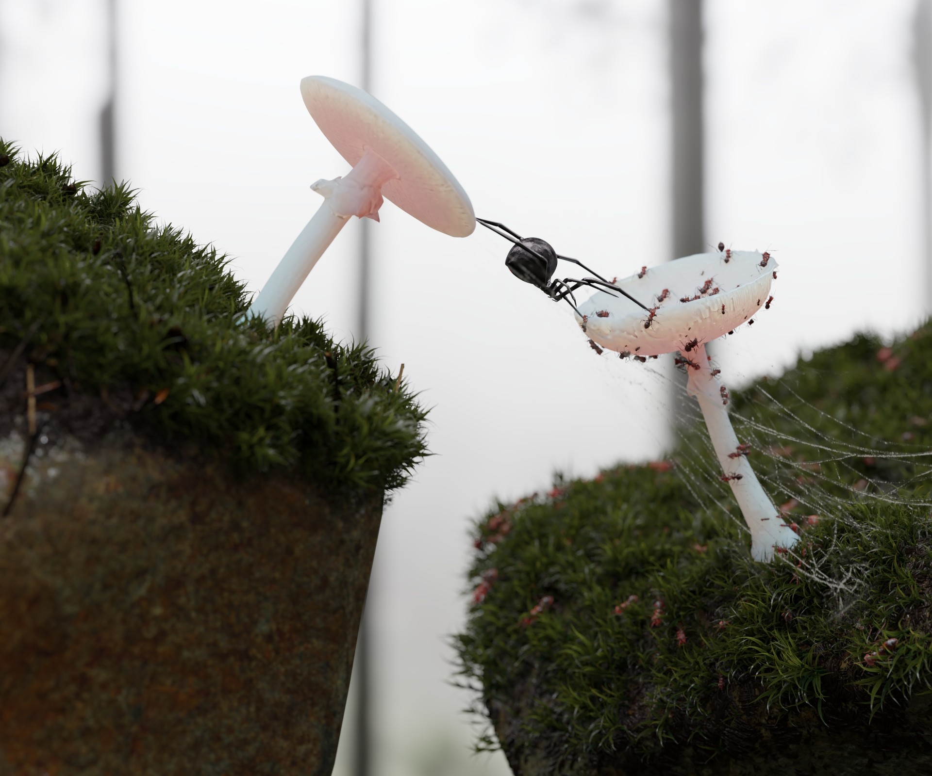 ArtStation - Mush_series