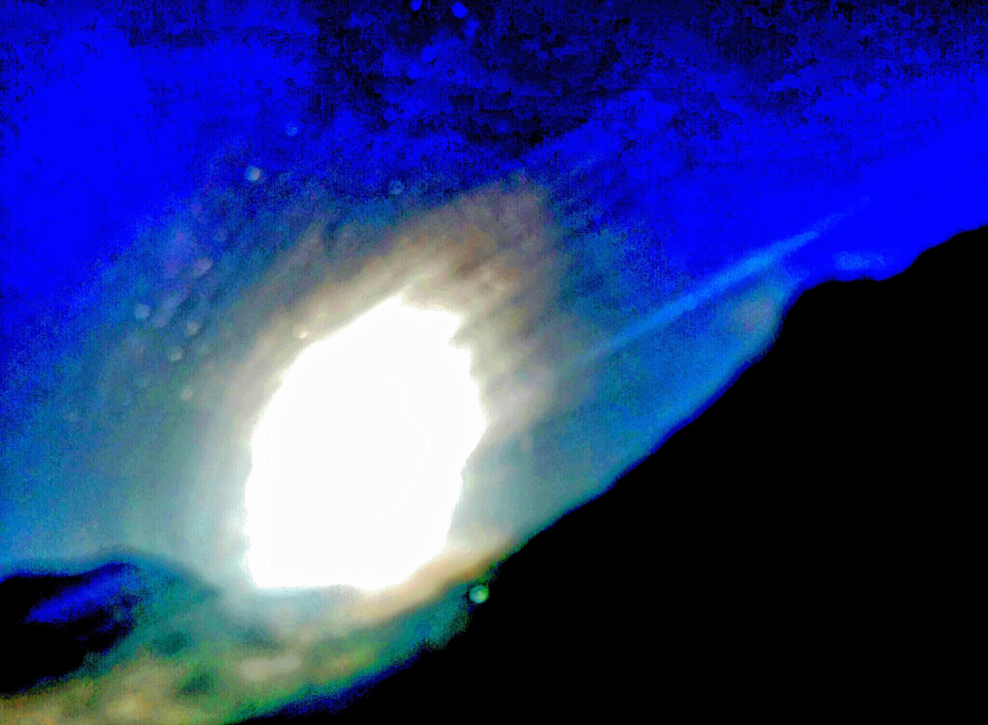 Terry Herbert - The current bun.