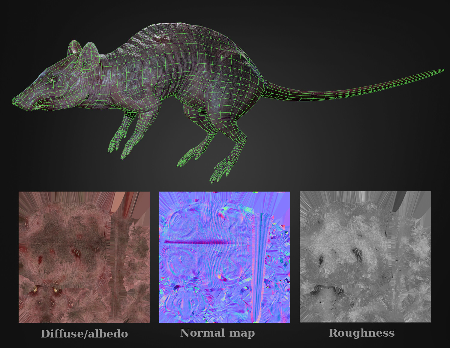 Gamma Minus - Infected Rat