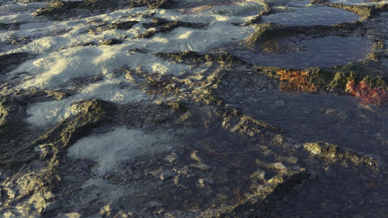 ArtStation - William Pruitt