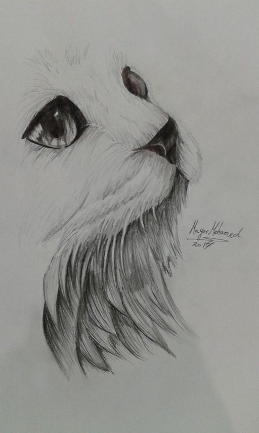 ArtStation - realistic cat