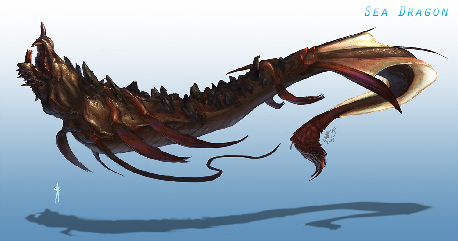 Sea Creature Designs
