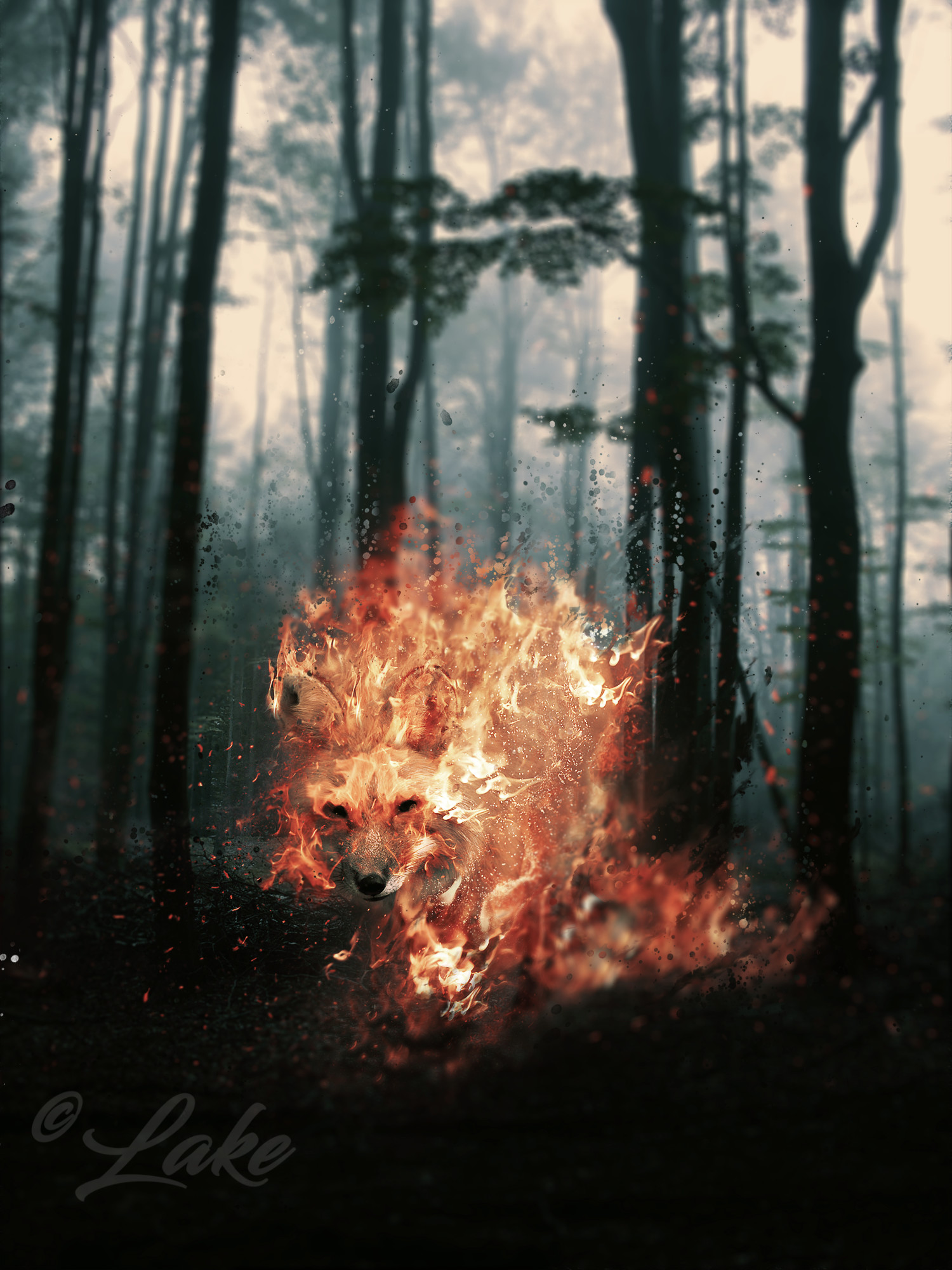 ArtStation - Fire Fox