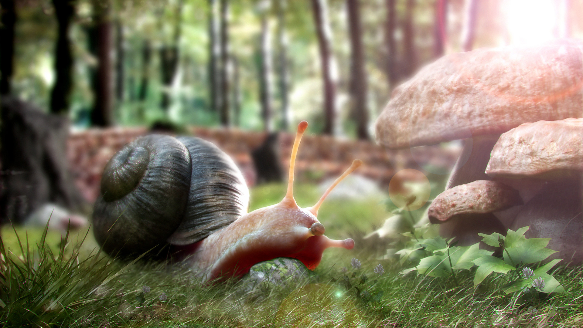 ArtStation - Snail