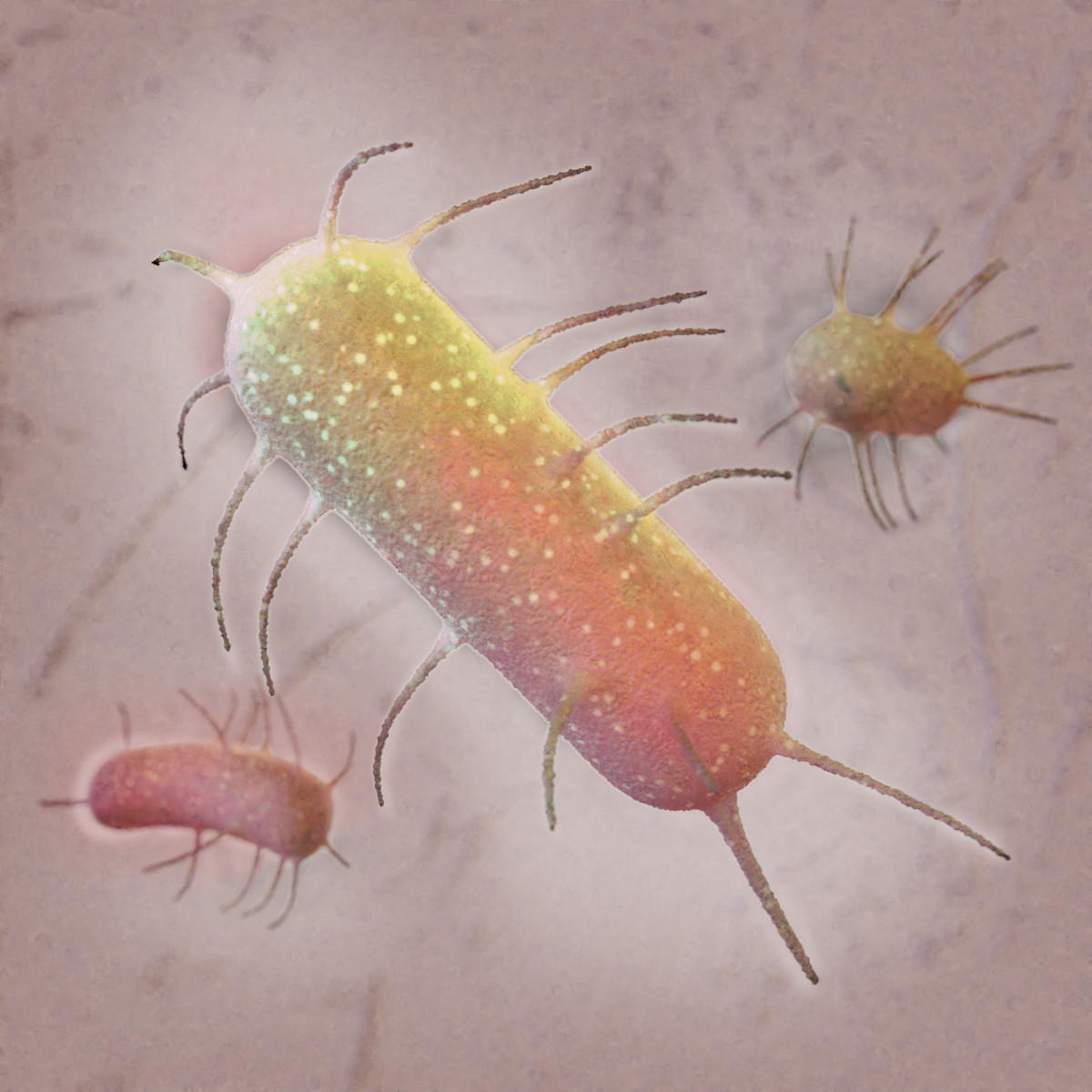 ArtStation - Microbe