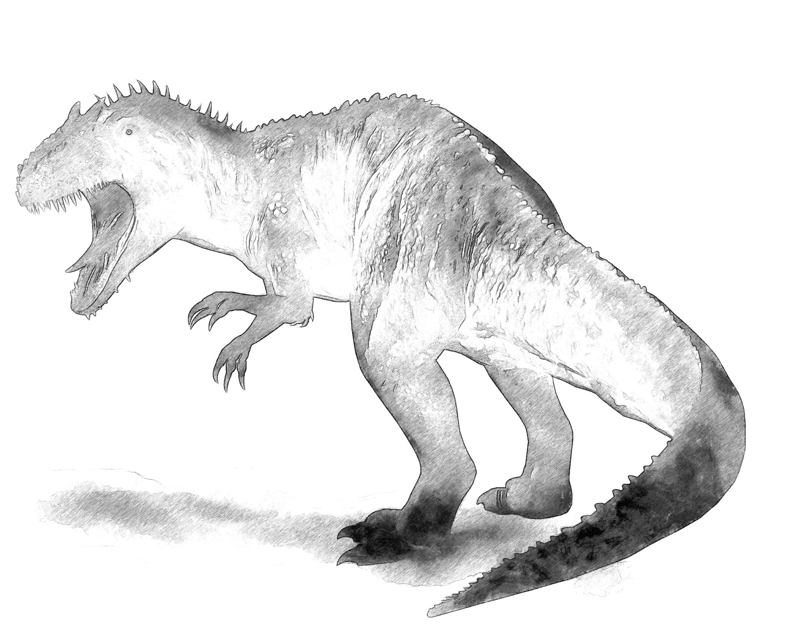 Ashley de Jongh - Giga Pencil Art