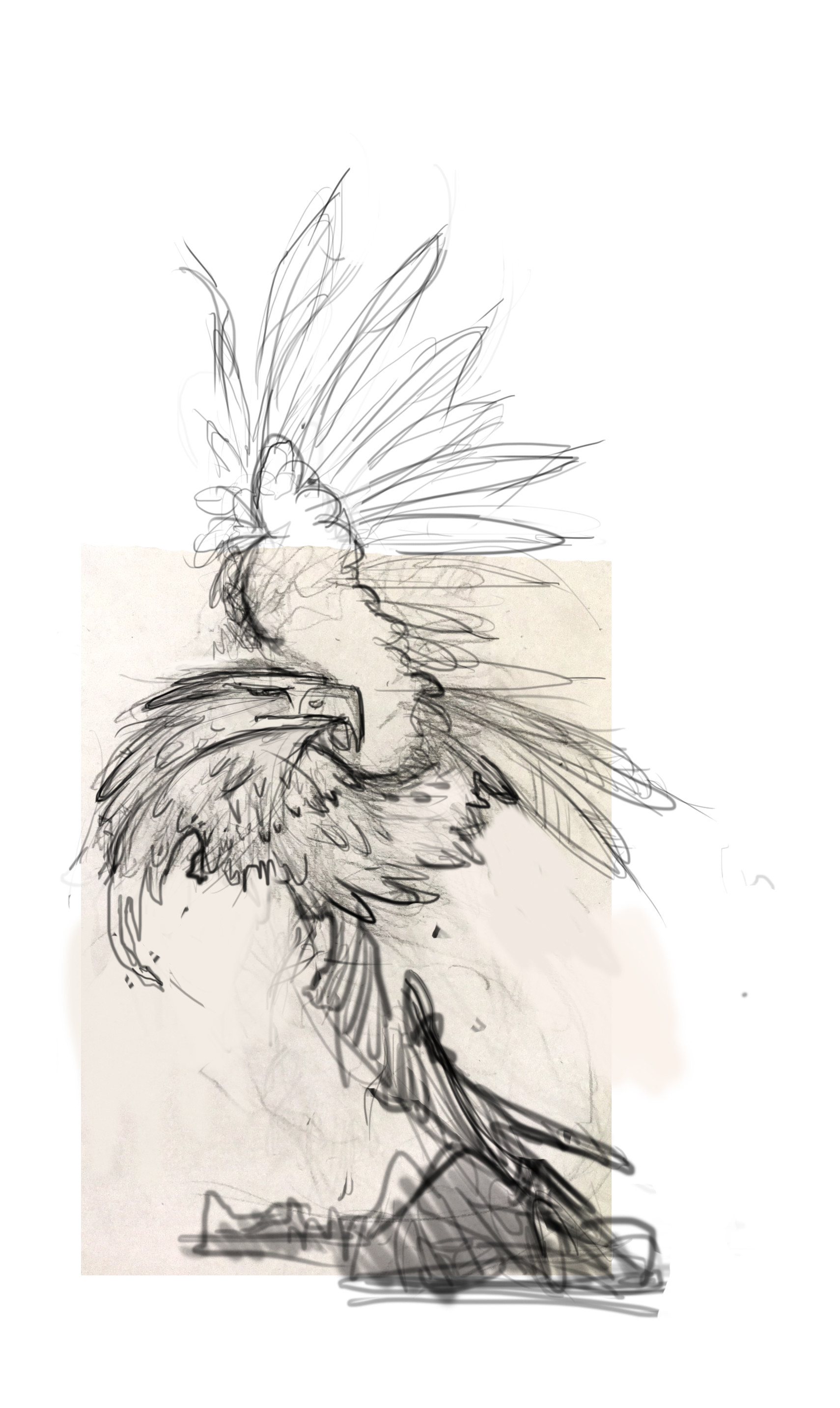 Renjie Wang - My eagle