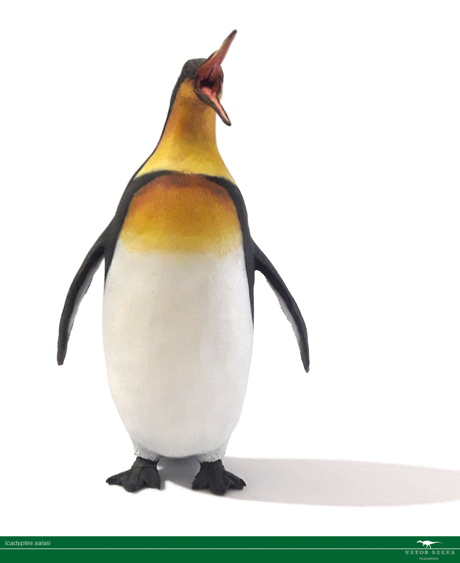 Vitor Silva - Icadyptes