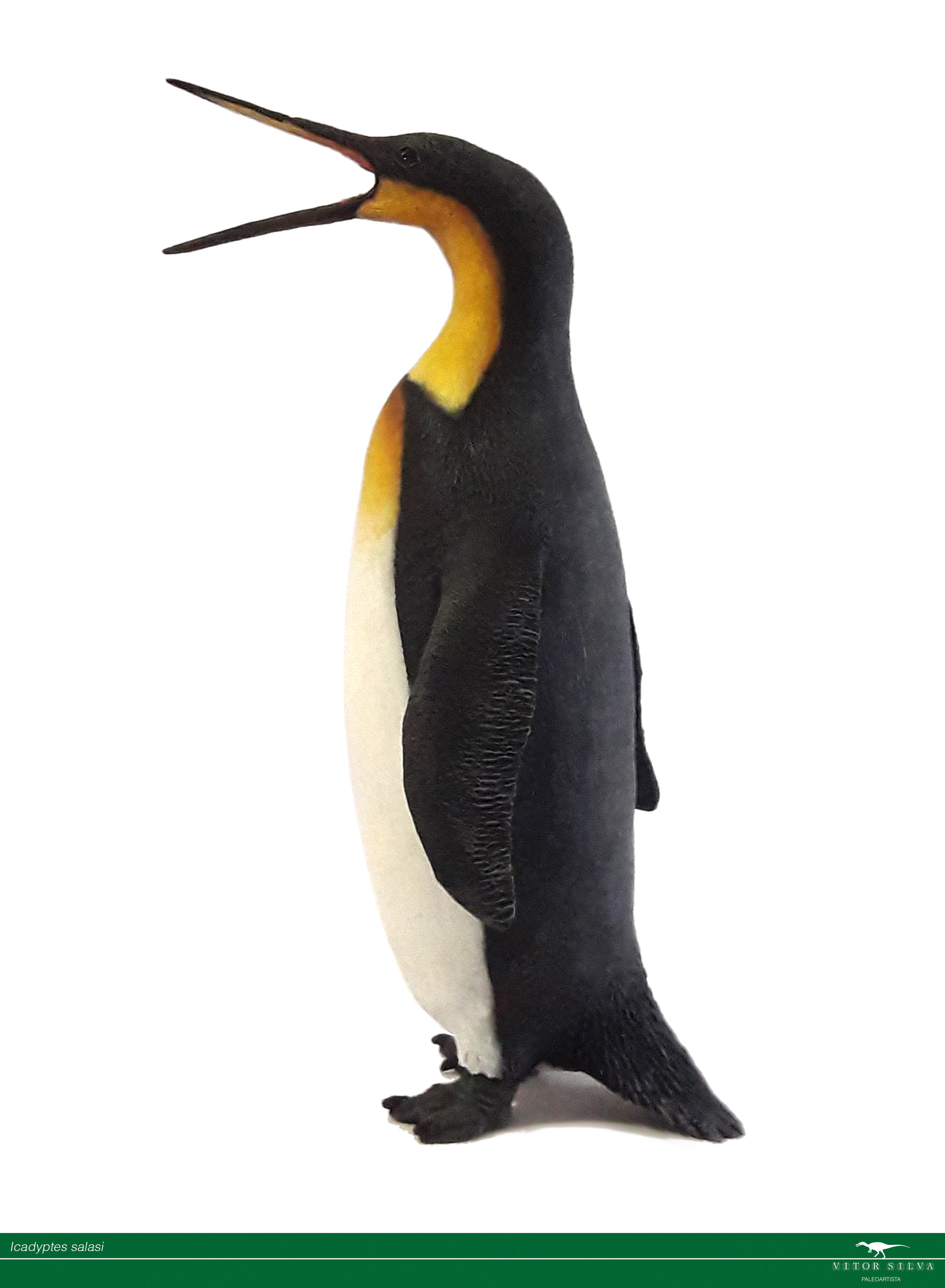 Vitor Silva - Icadyptes