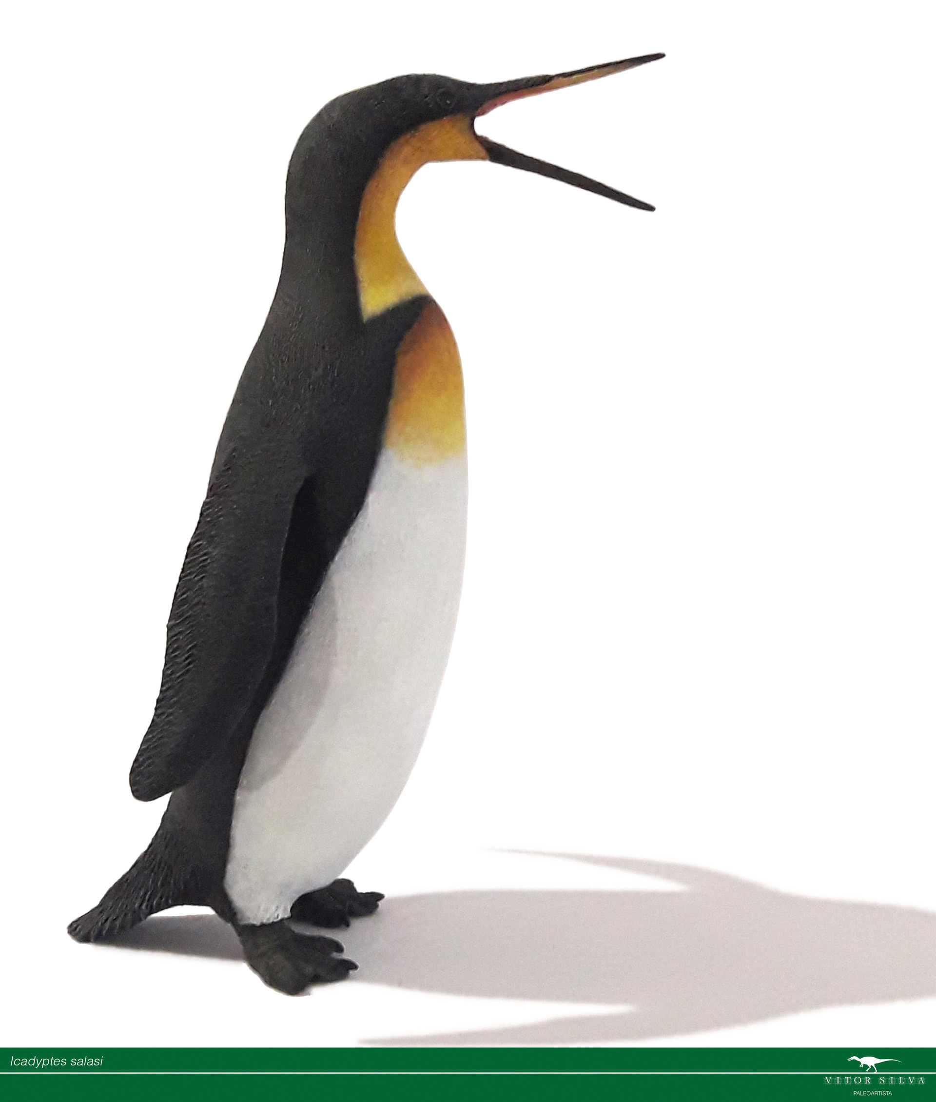 Vitor Silva - Icadyptes