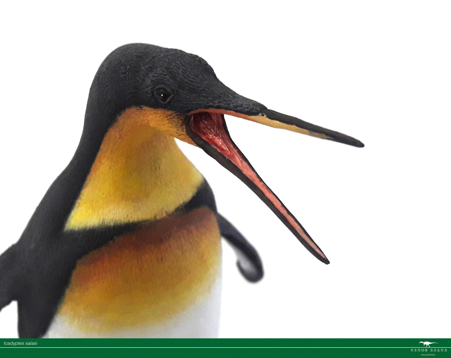 Vitor Silva - Icadyptes