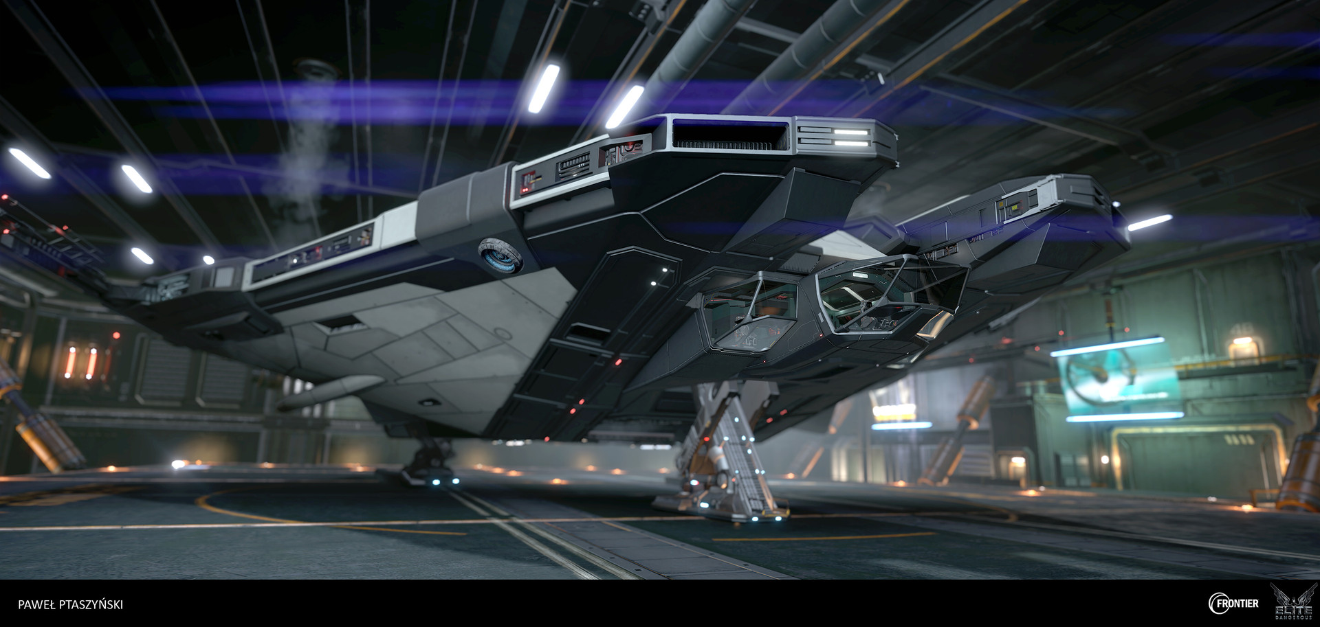 Pawel Ptaszynski - Krait Mk.II - Elite Dangerous: Horizons