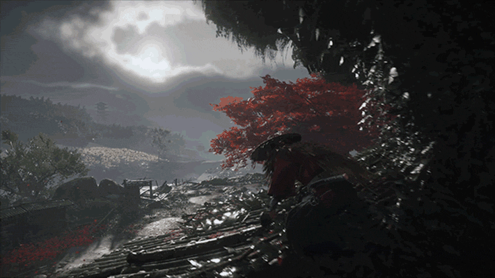 dark forest gif loop